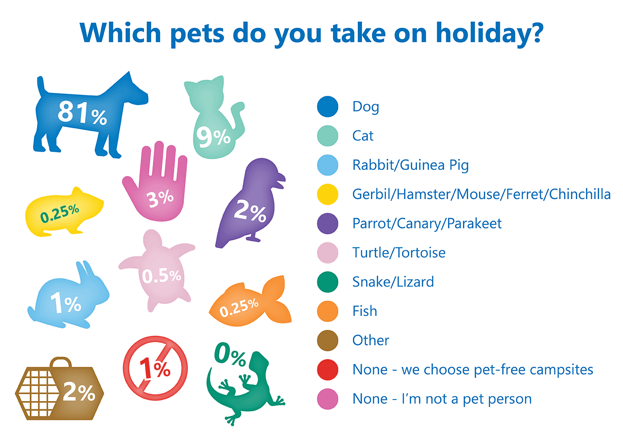 Creature comfort caravanning - Caravan Guard's pet poll