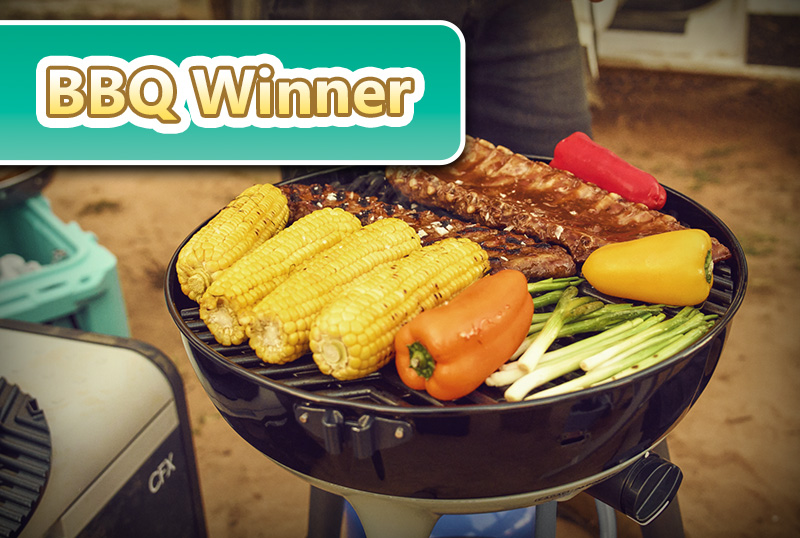 Cadac Carri Chef 40 BBQ winner!